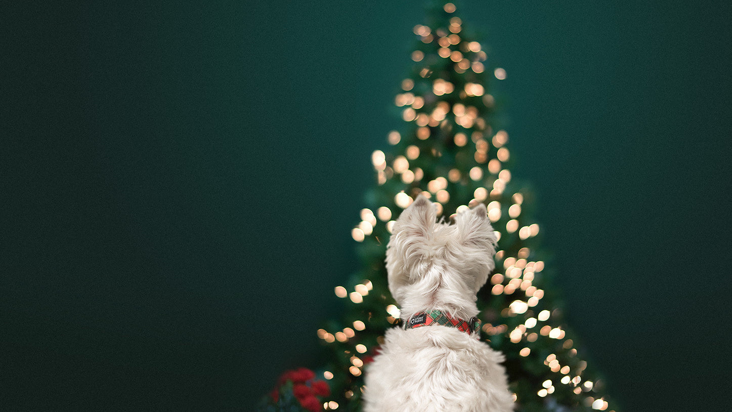 Holiday Collection – Stunt Puppy