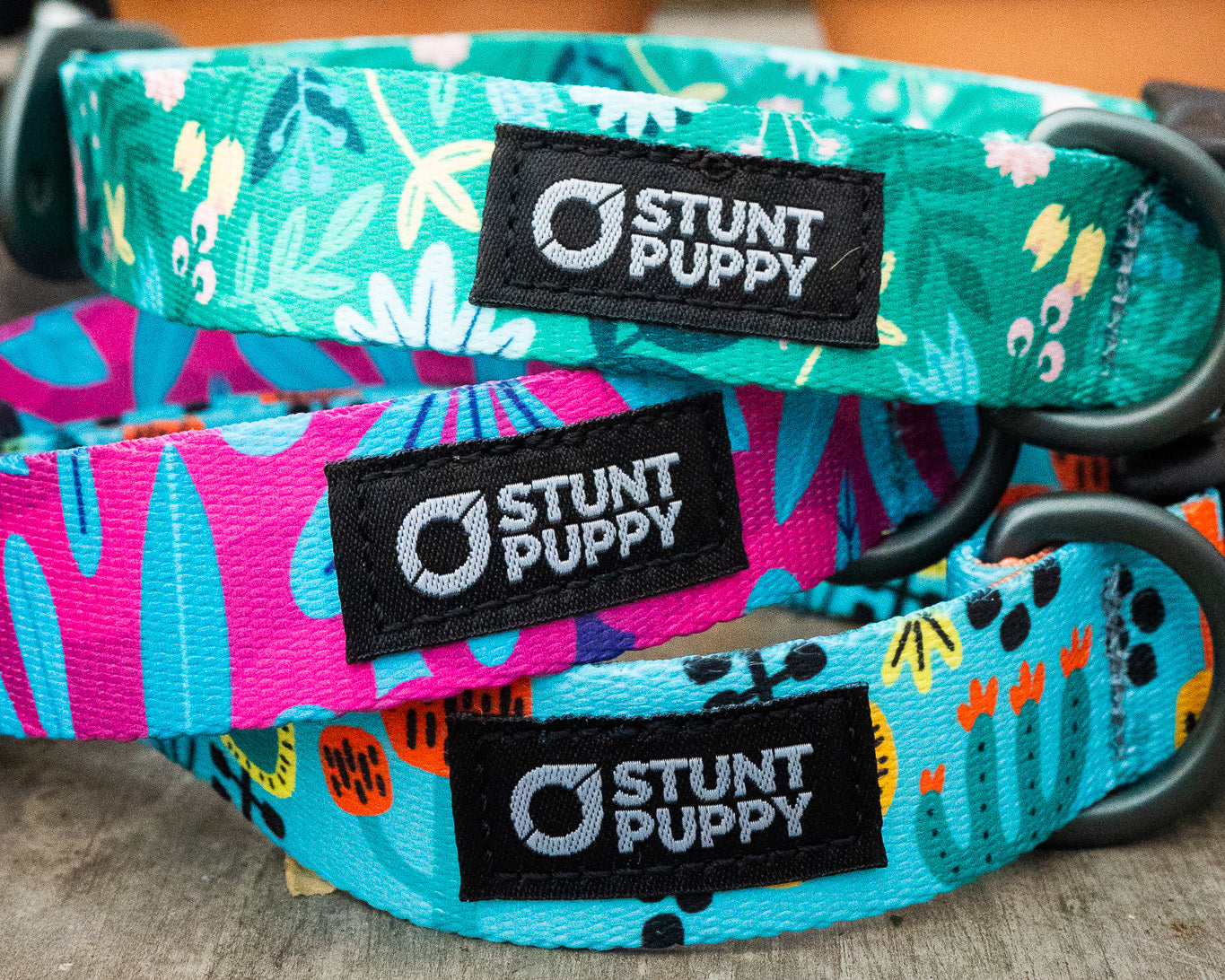 Spring Patterns Collection – Stunt Puppy