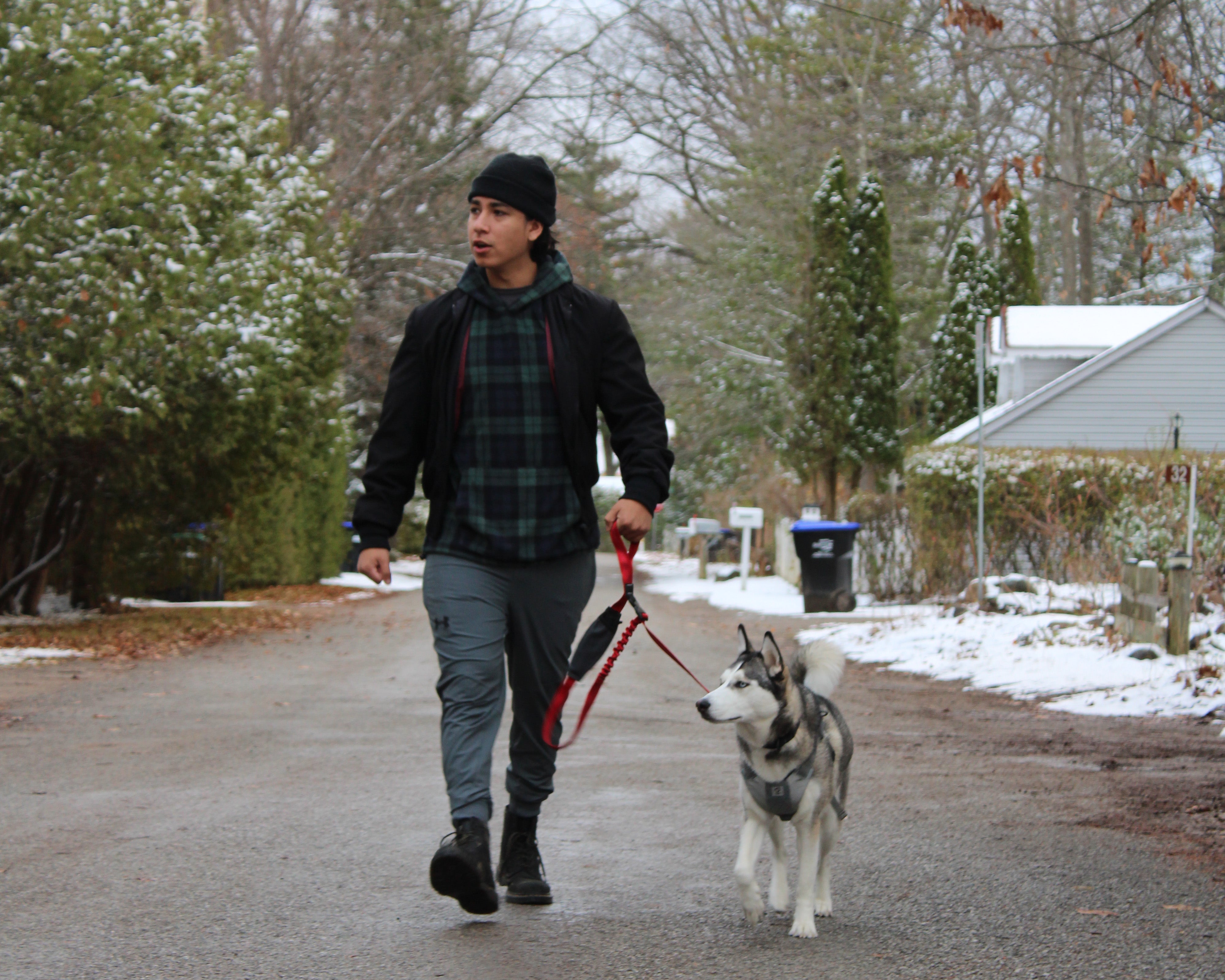 Leashes – Stunt Puppy