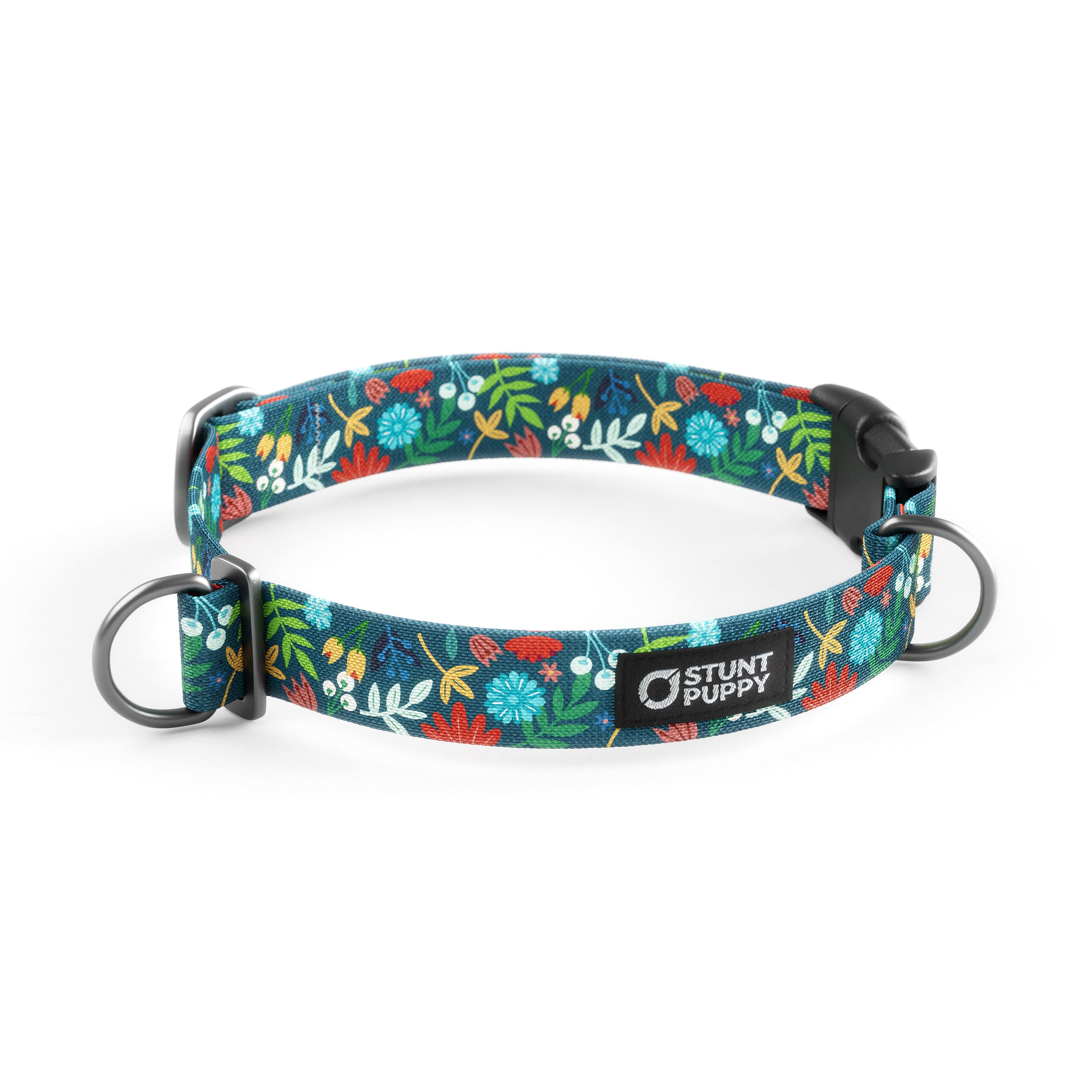 Stunt Puppy Flora Frolic Fall Collar | Dog Collar