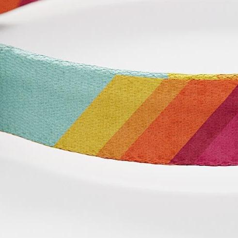 Everyday Collars – Stunt Puppy