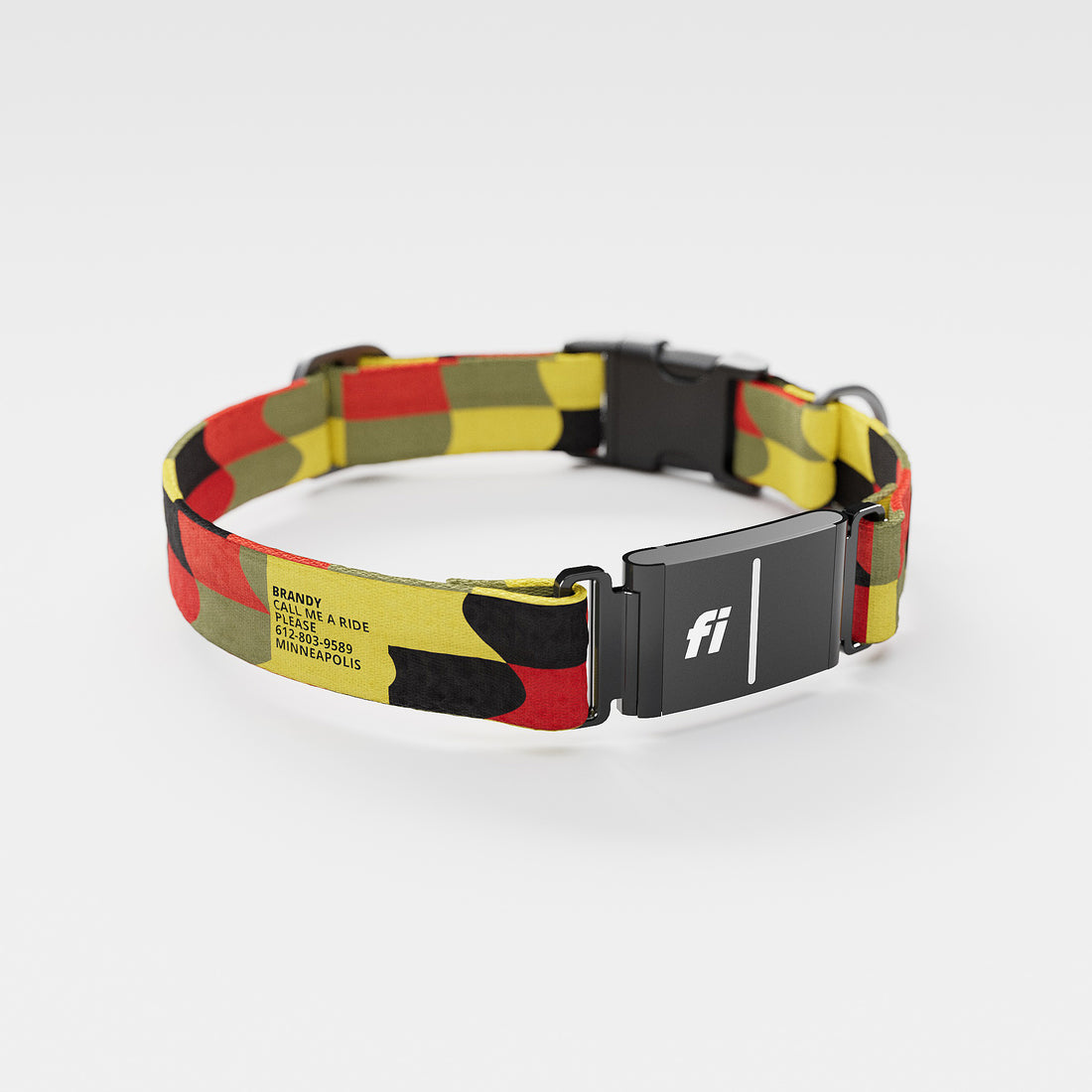 Fi Compatible Flags Pirate Pattern Collar | Dog Collar – Stunt Puppy