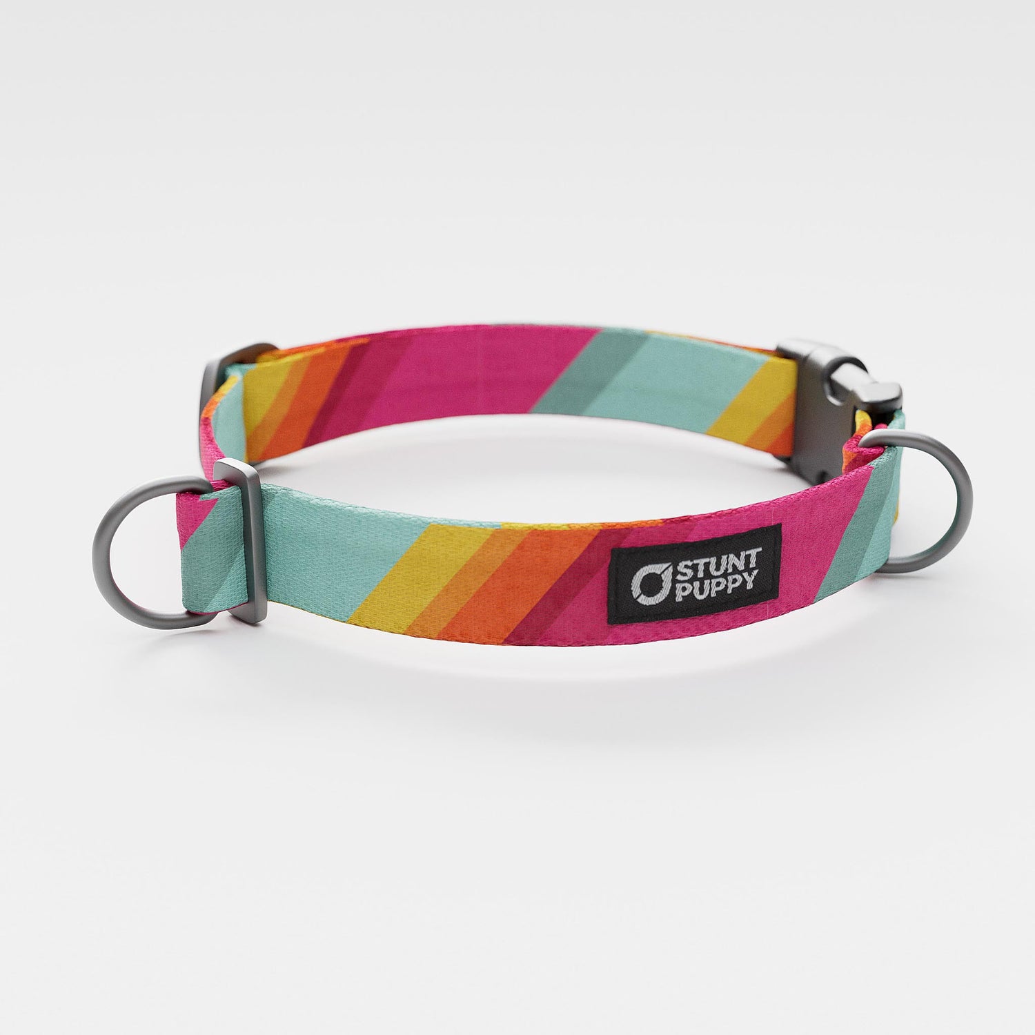 Everyday Collars – Stunt Puppy