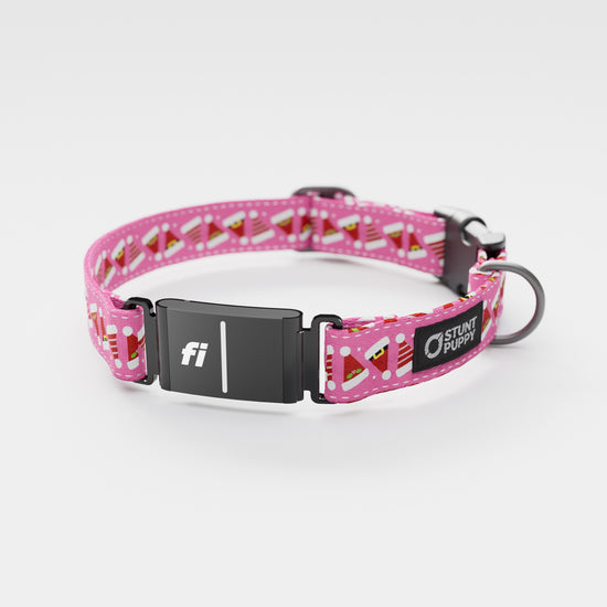 Fi GPS Unit With Stunt PuppyID Collar – Page 3