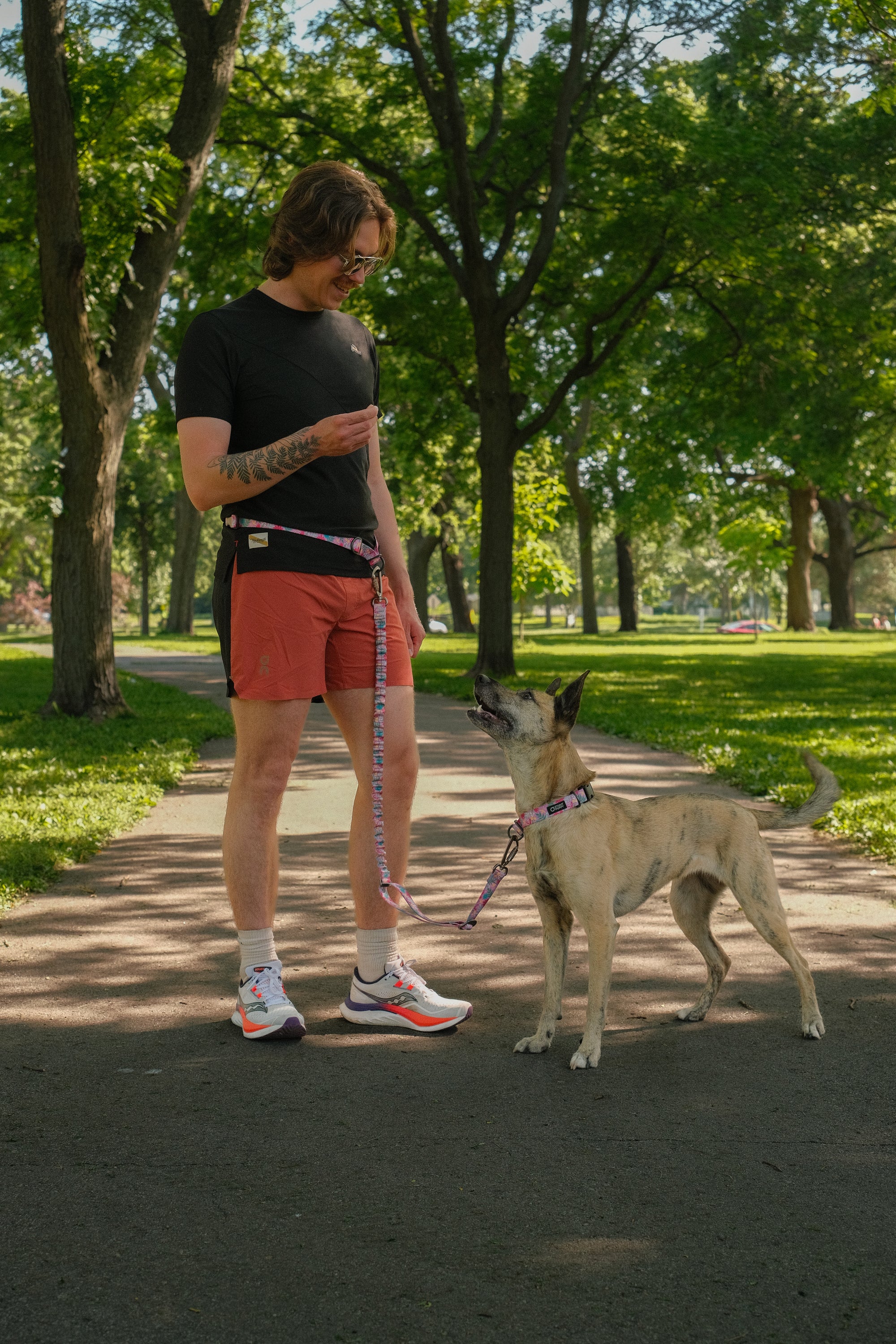 Stunt Runners – Page 3 – Stunt Puppy