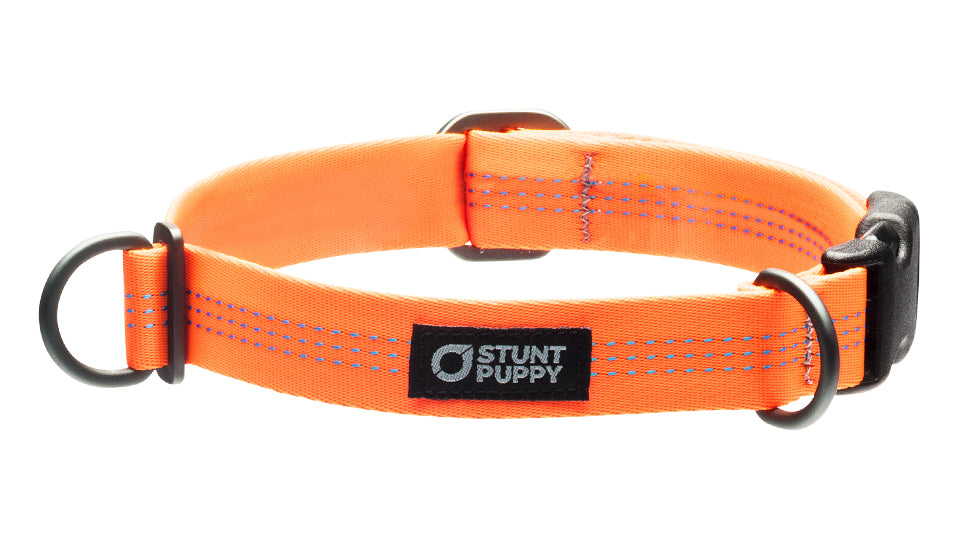 Classic Orange Everyday Collar™ – Stunt Puppy