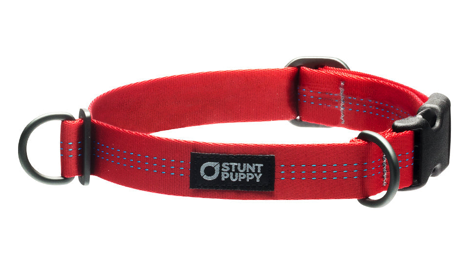Classic Red Everyday Collar™ – Stunt Puppy