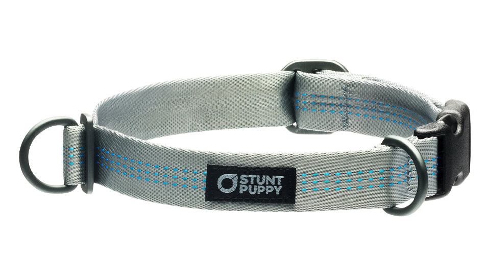 Classic Silver Everyday Collar™ – Stunt Puppy