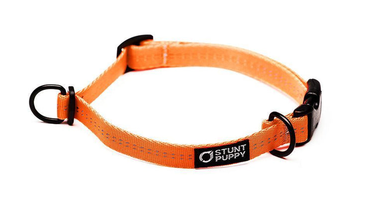 Classic Orange Everyday Collar™ – Stunt Puppy