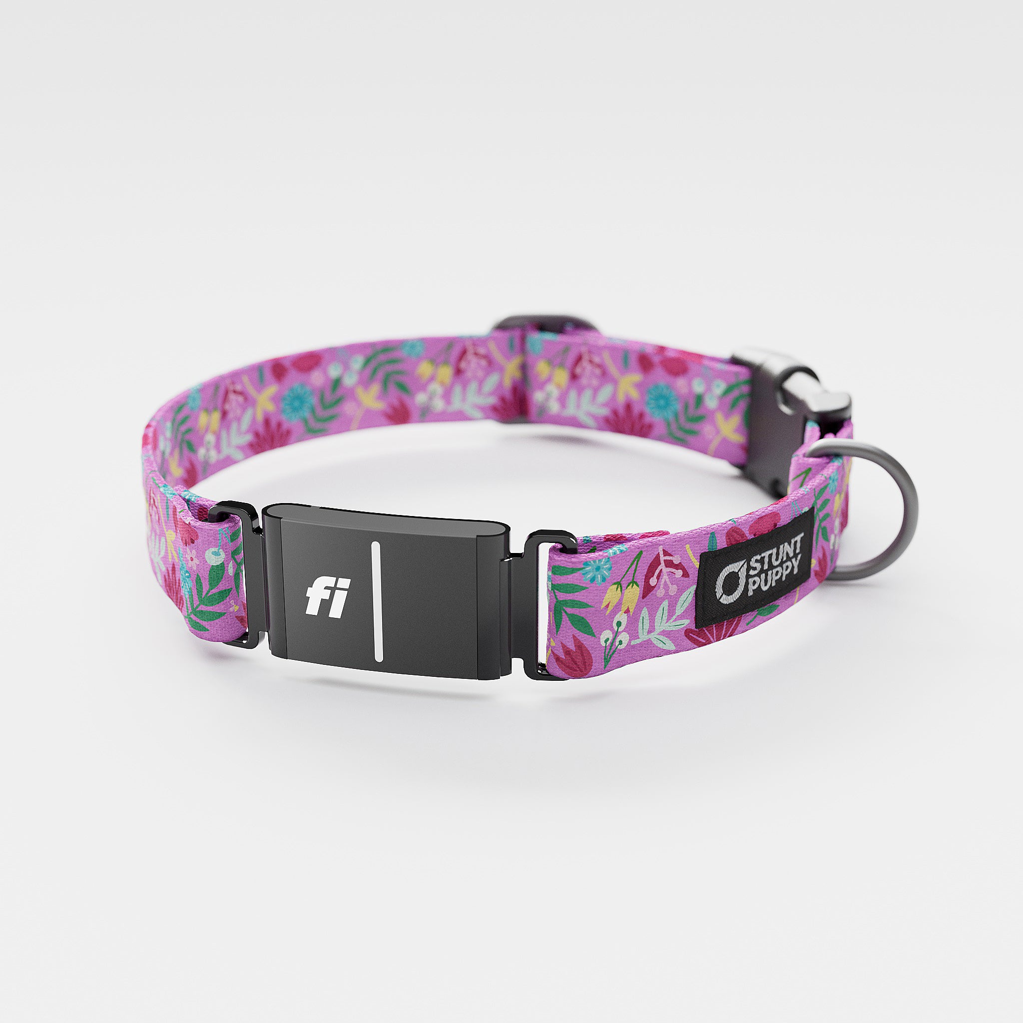 Fi Compatible Frolic Summer l Pattern Collar | Dog Collar – Stunt Puppy