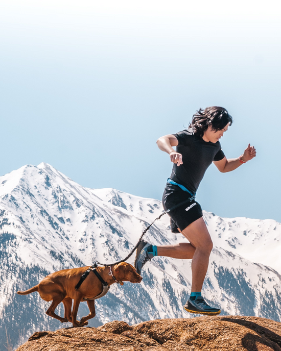 Affiliate Program – Stunt Puppy