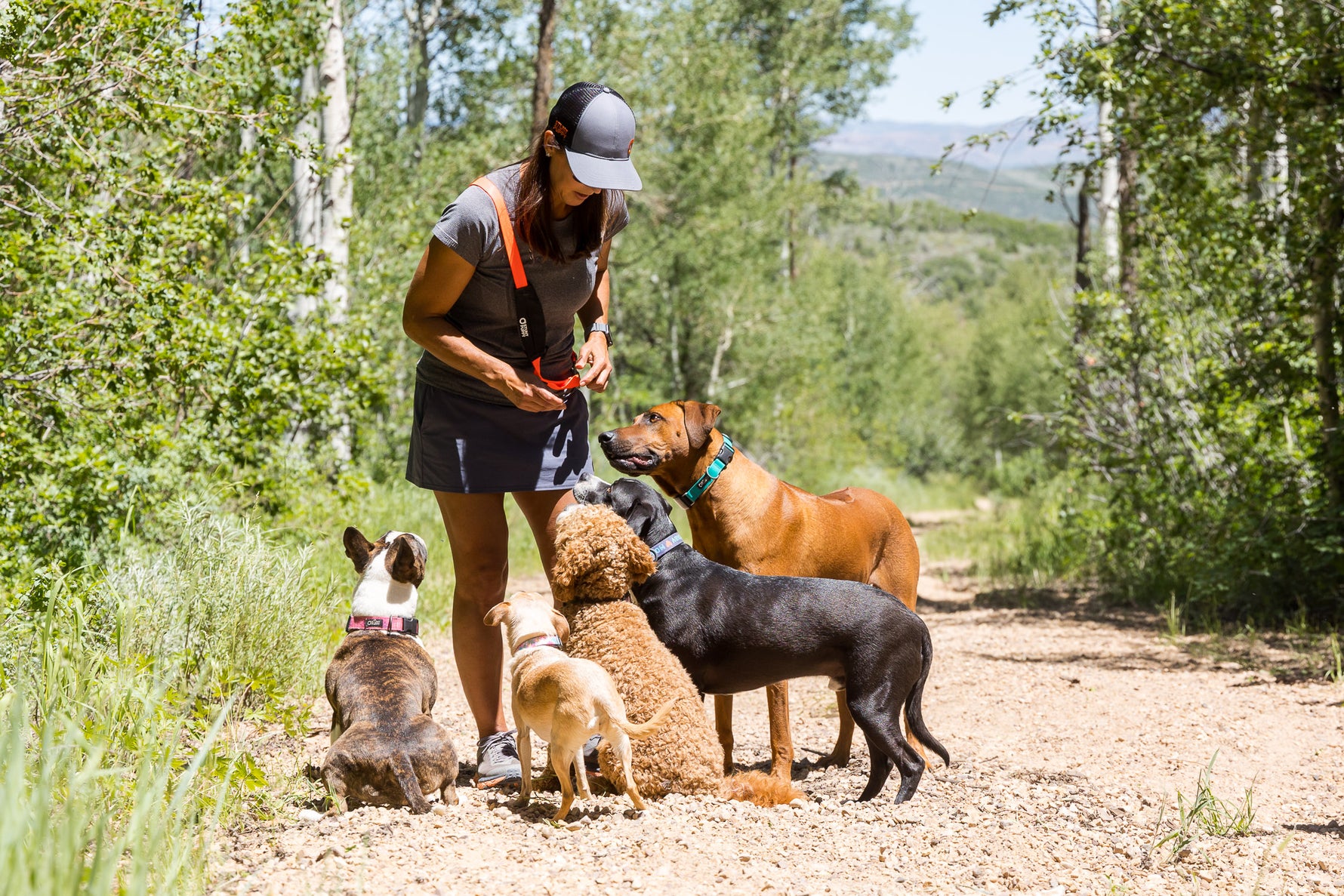 Stunt Puppy - Dog Leashes, Collars, Harnesses, Life Jackets and More