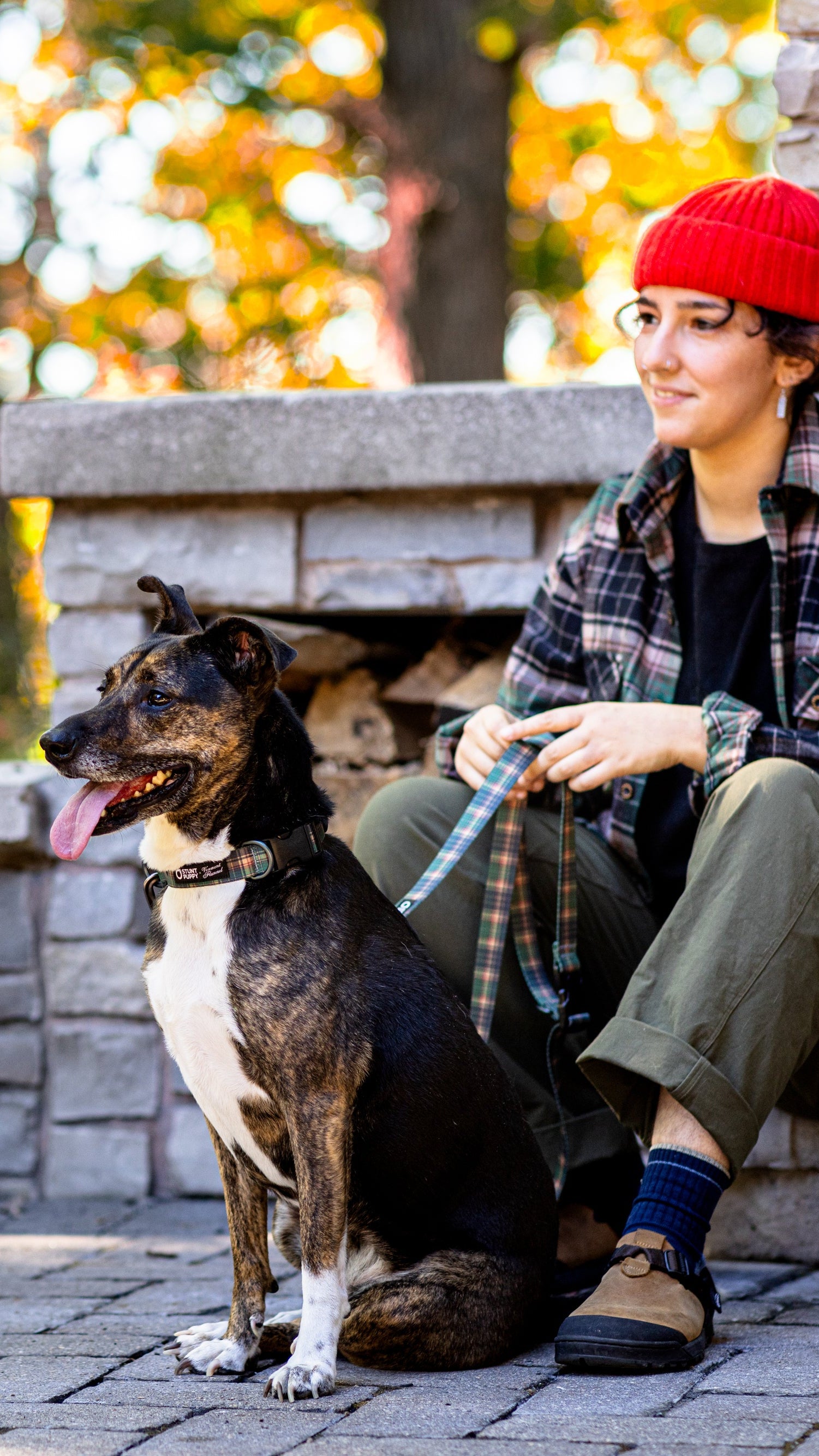 Stunt Puppy - Dog Leashes, Collars, Harnesses, Life Jackets and More