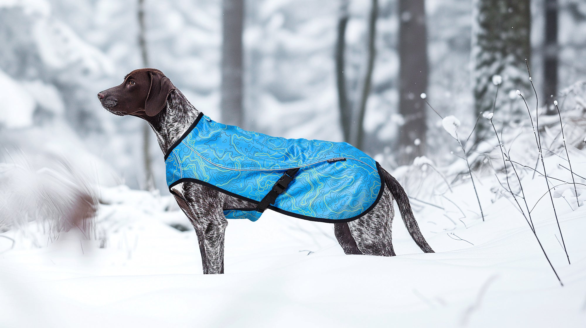 Sub Woofer™ Topo Limited Edition – Stunt Puppy