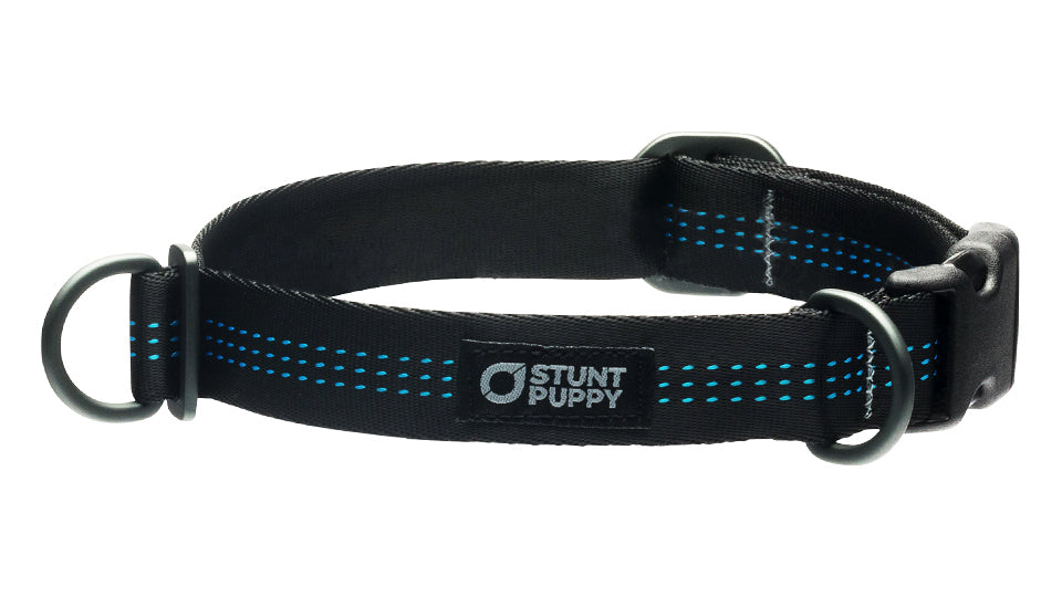 Classic Black Everyday Collar™ – Stunt Puppy