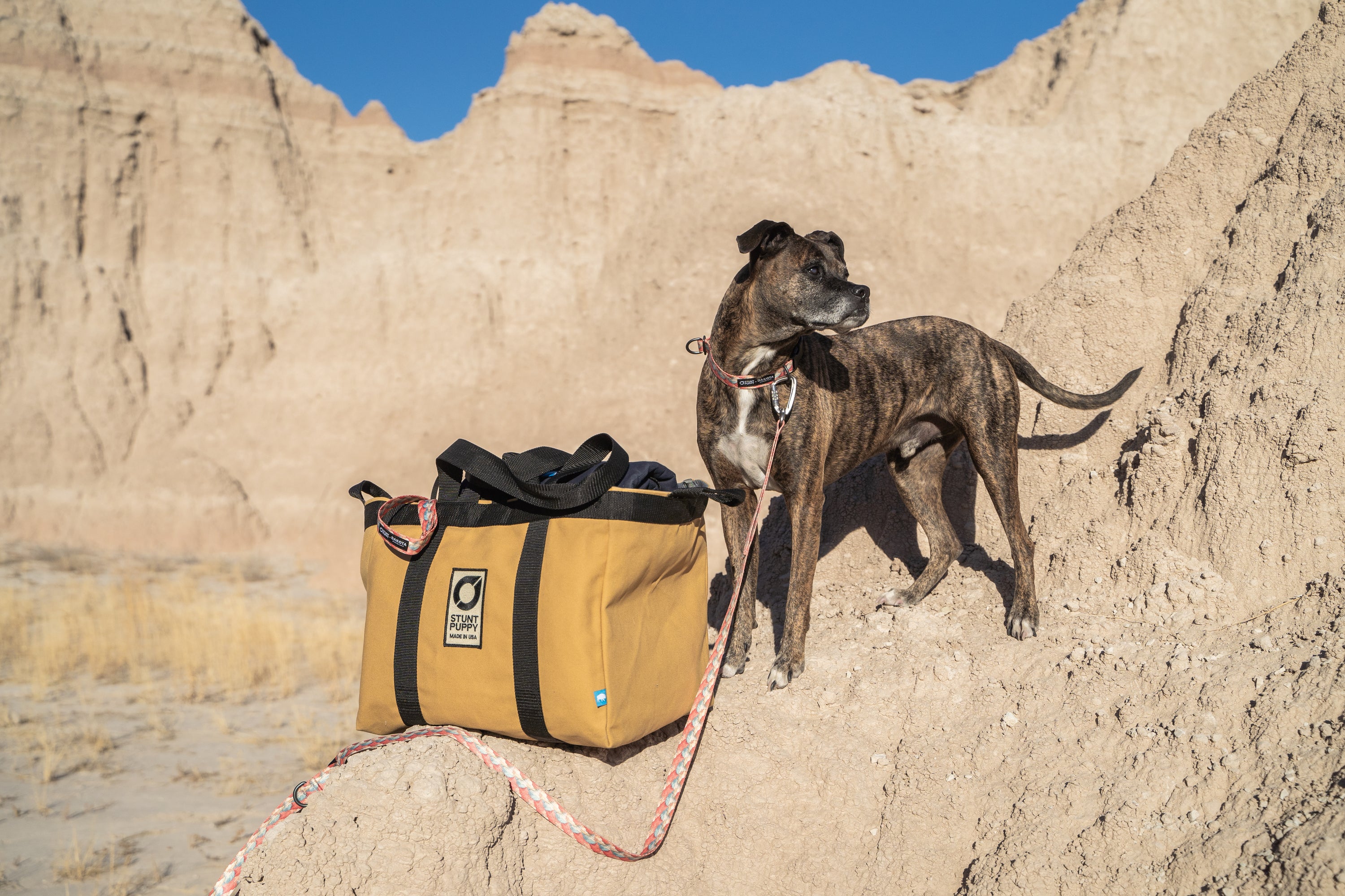 Stunt Puppy - Dog Leashes, Collars, Harnesses, Life Jackets and More