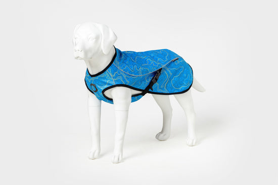 Sub Woofer™ Topo Limited Edition – Stunt Puppy