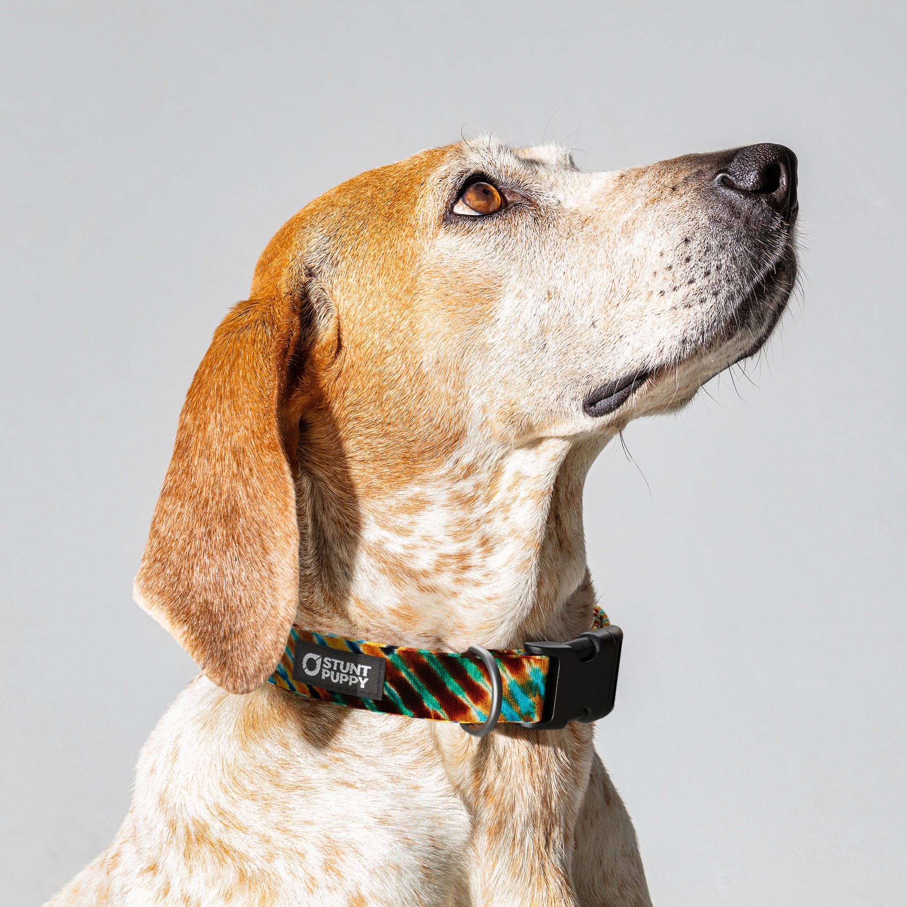 Fi Compatible Jammin Peyote l Pattern Collar | Dog Collar – Stunt Puppy