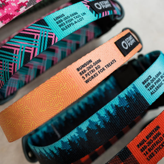Stunt Puppy ID Collars