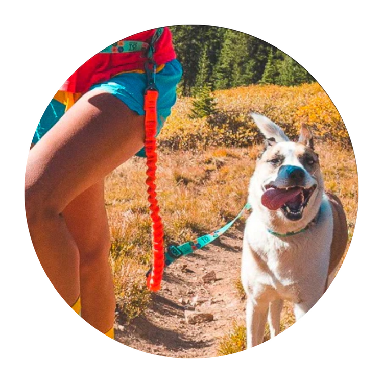 Stunt Runner™ | Hands-Free Adjustable Dog Leash – Stunt Puppy