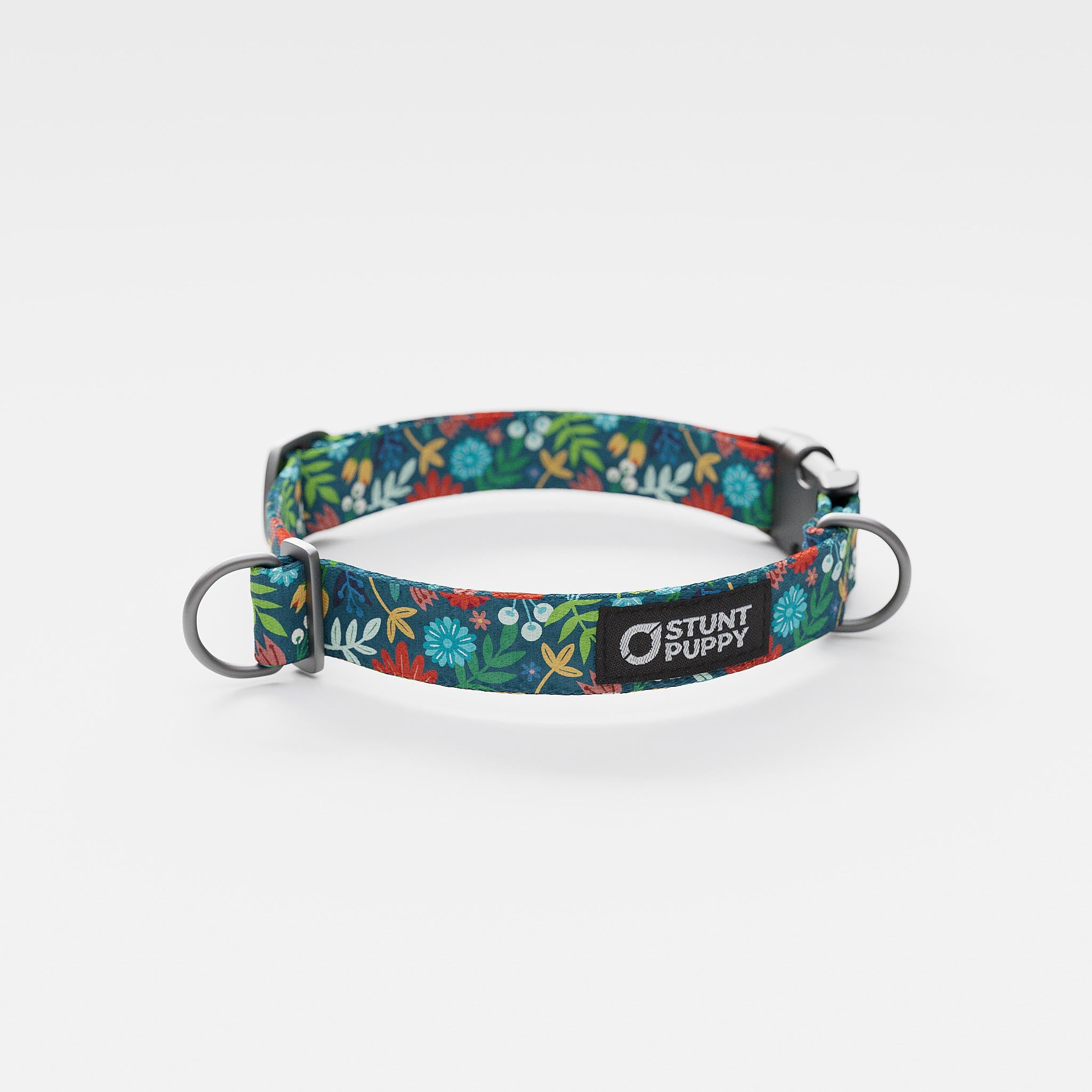 Stunt Puppy Flora Frolic Fall Collar | Dog Collar
