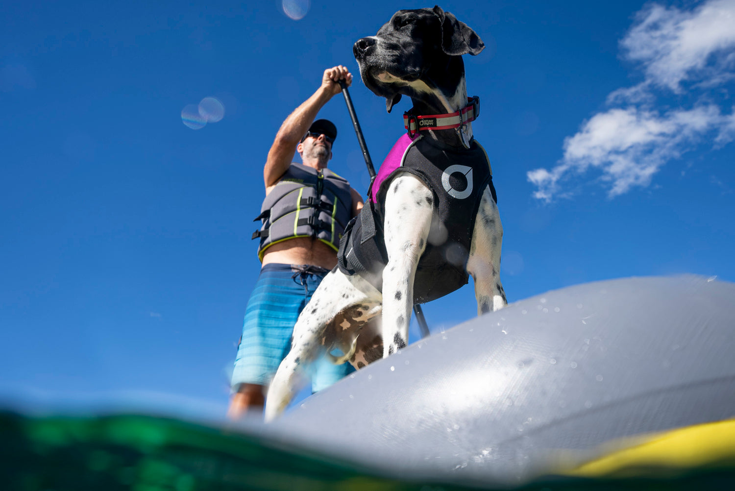 Float Doggy™ – Stunt Puppy