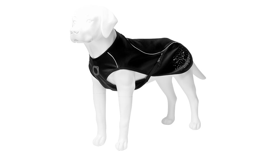 Sub Woofer™ – Stunt Puppy