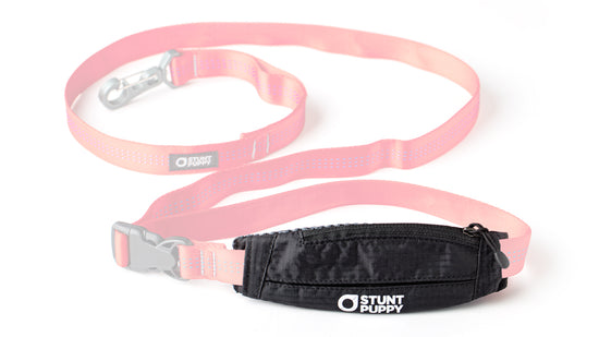 Stash Pocket for Leash – Stunt Puppy