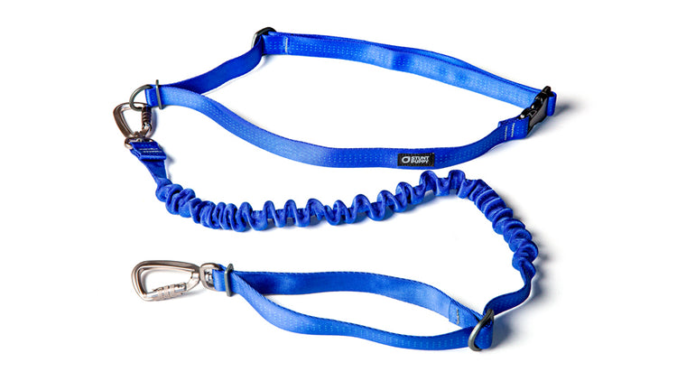 Stunt Runner™ | Hands-Free Adjustable Dog Leash – Stunt Puppy