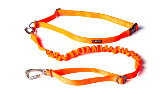 Stunt Runner™ | Hands-Free Adjustable Dog Leash – Stunt Puppy