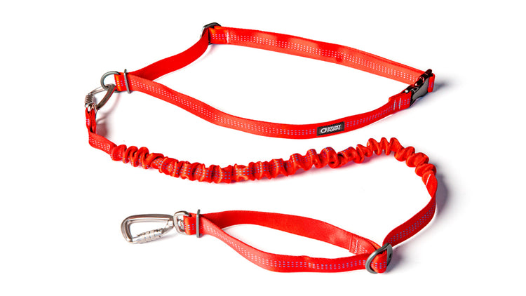Stunt Runner™ | Hands-Free Adjustable Dog Leash – Stunt Puppy