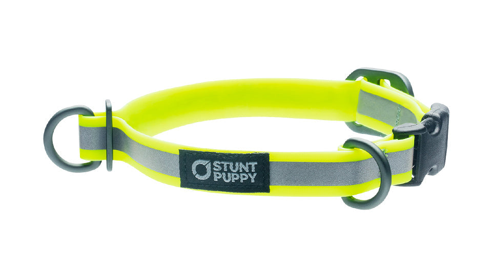 Gop dog collar store