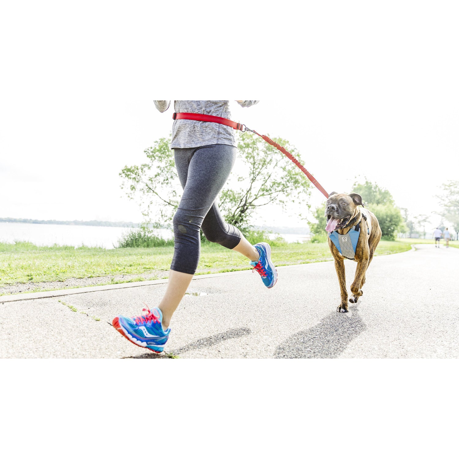 Go Dog Glo™ Harness | Dog Harness – Stunt Puppy