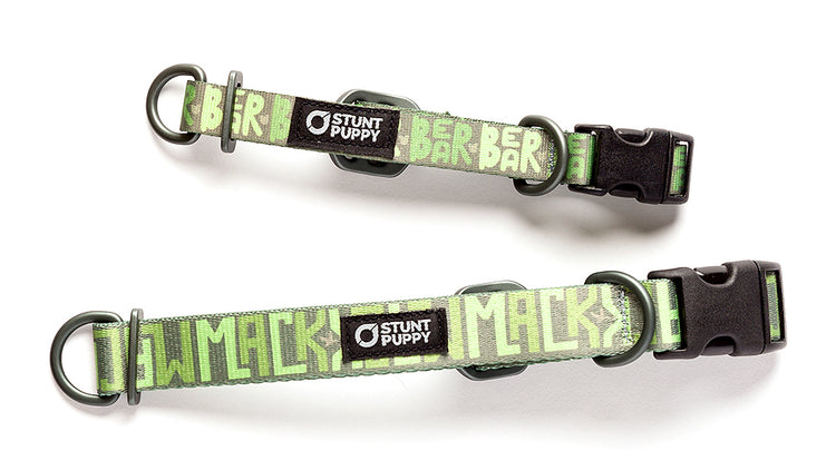 Hand-Lettered Custom Collar – Stunt Puppy
