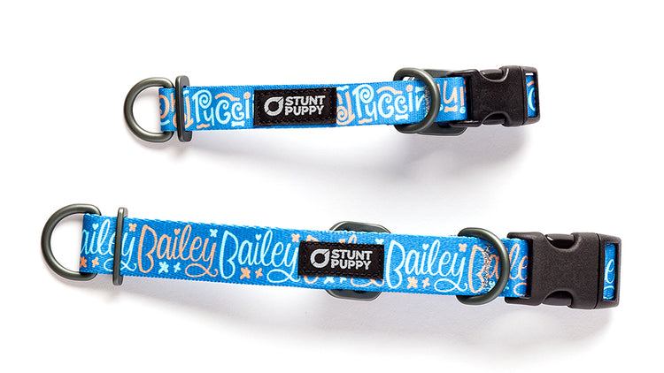 Hand-Lettered Custom Collar – Stunt Puppy