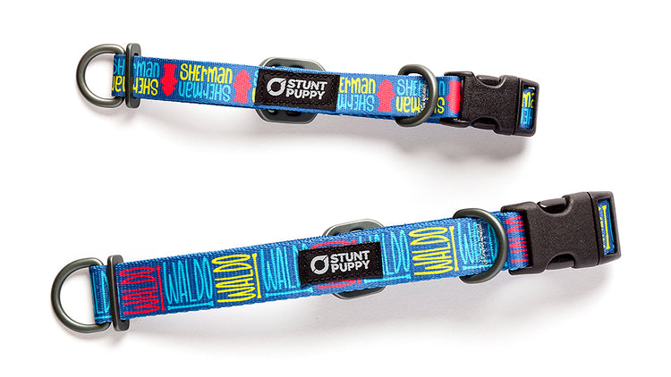 Hand-Lettered Custom Collar – Stunt Puppy