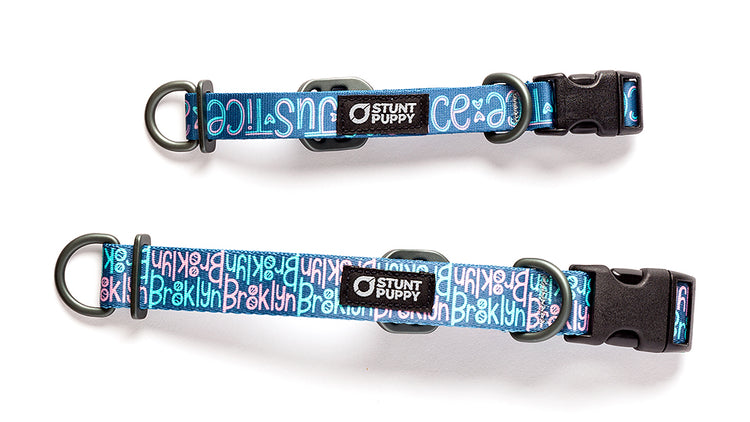 Hand-Lettered Custom Collar – Stunt Puppy
